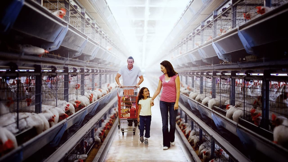 ‎Poisoned: The Dirty Truth About Your Food (2023) directed by Stephanie ...