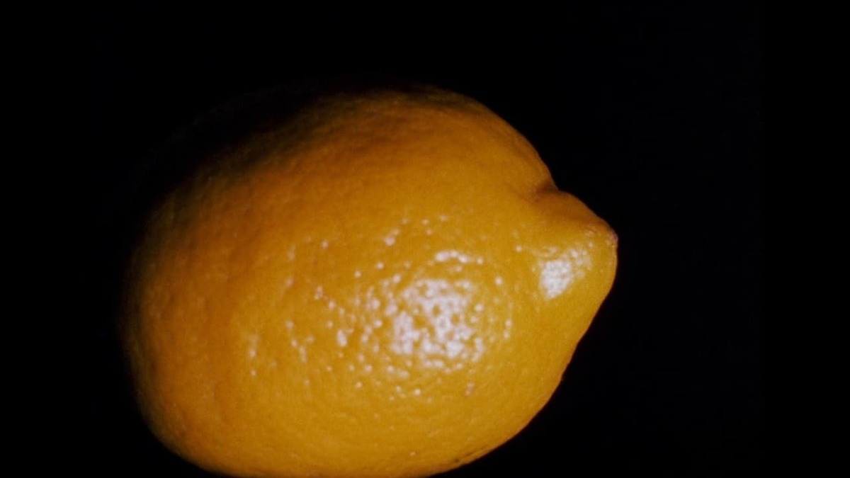 ‎Lemon (1969) directed by Hollis Frampton • Reviews, film + cast ...