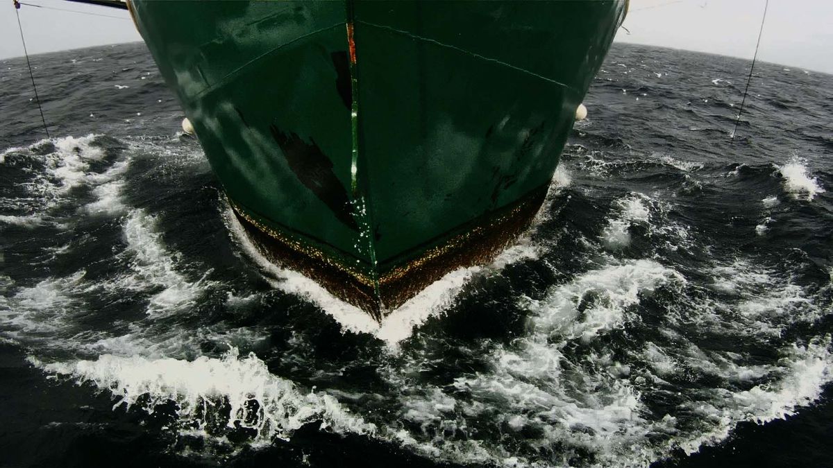 ‎Leviathan (2012) directed by Lucien Castaing-Taylor, Véréna Paravel • Reviews, film + cast ...