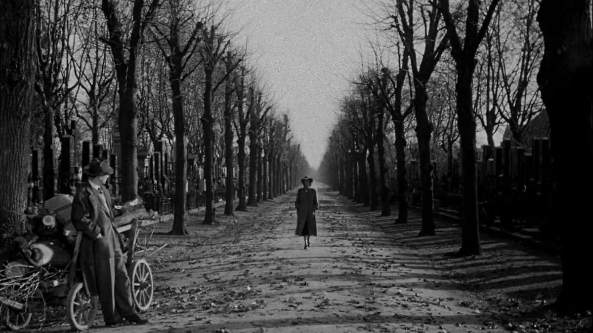 The Third Man’ review by Zack Bland • Letterboxd