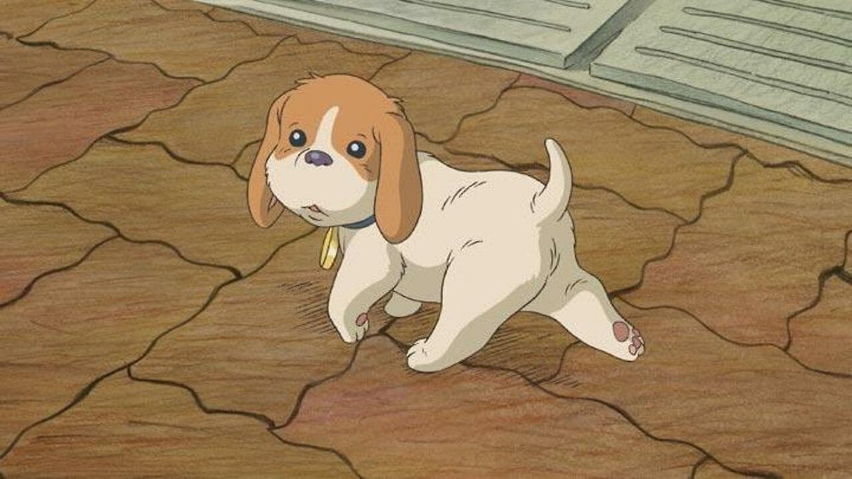 ‎Koro's Big Day Out (2002) directed by Hayao Miyazaki • Reviews, film ...