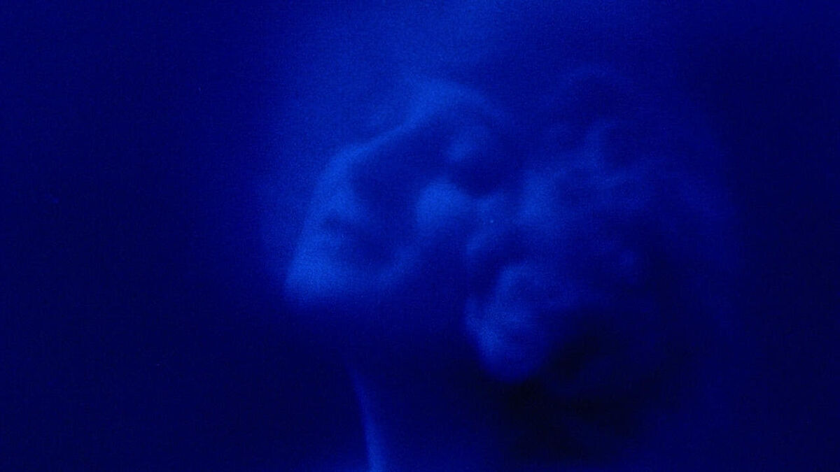 Phantom’ watched by Ennensibble • Letterboxd