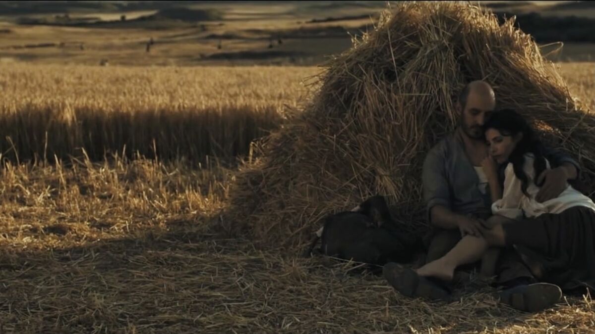 ‎Chrysalis (2011) directed by Paula Ortiz • Reviews, film + cast ...