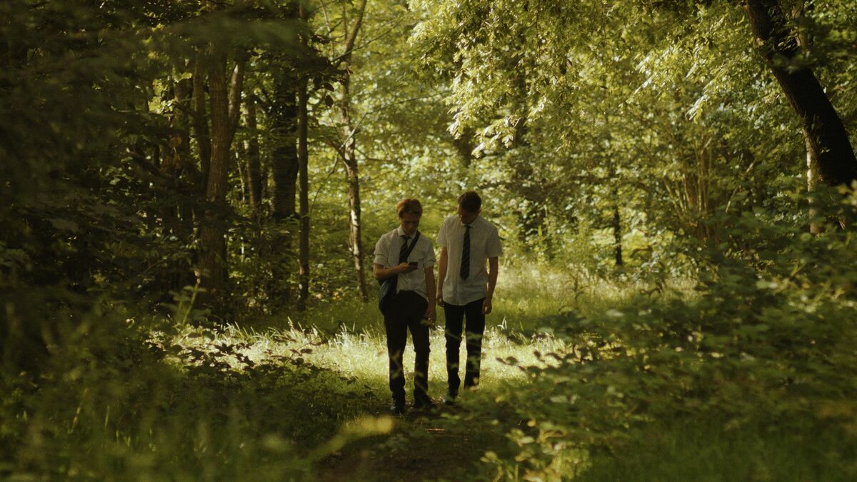 ‎Young, Young Men (2020) directed by Noah Stratton-Twine • Reviews ...