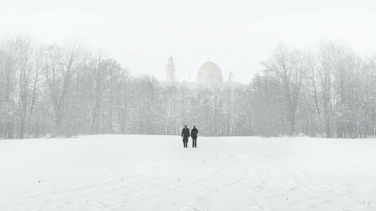 ‎The Oslo Diaries (2018) directed by Mor Loushy, Daniel Sivan • Reviews ...