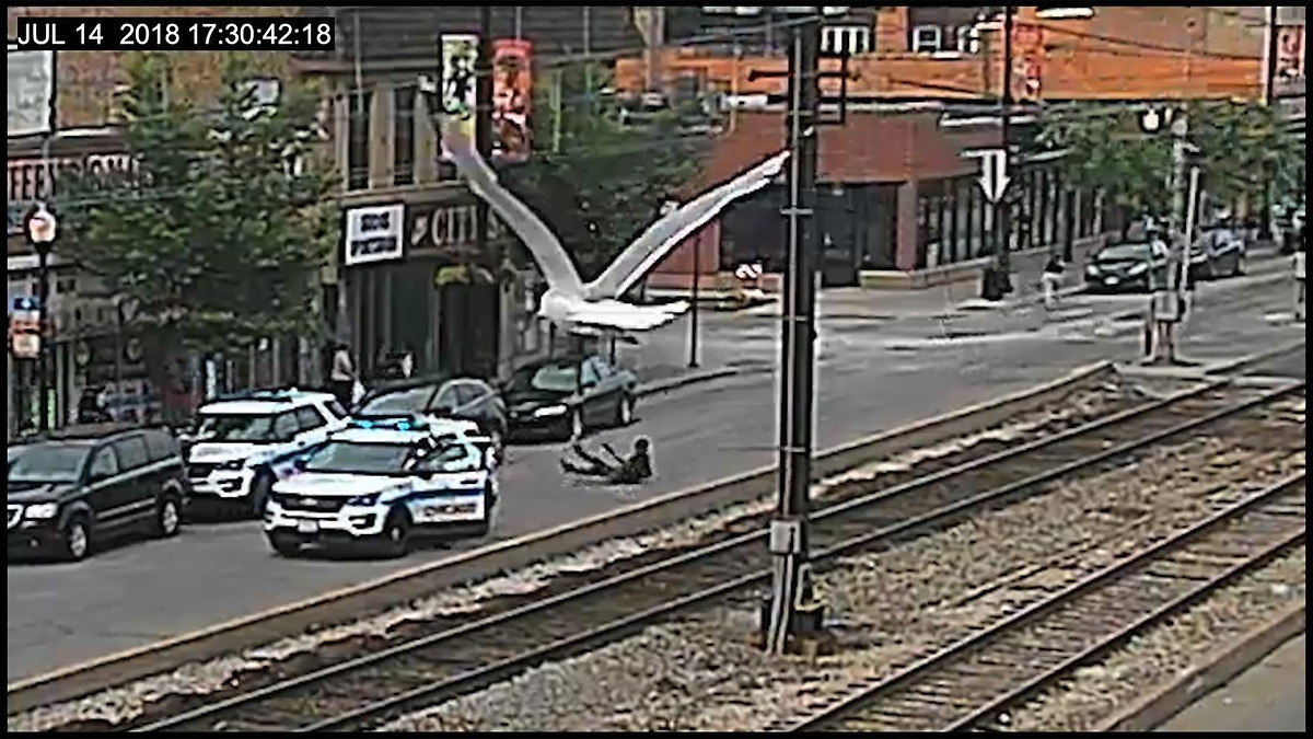 ‎Incident (2023) directed by Bill Morrison • Reviews, film + cast ...