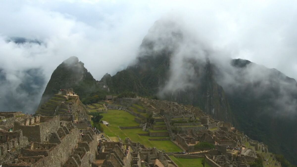 ‎Unity (2015) directed by Shaun Monson • Reviews, film + cast • Letterboxd