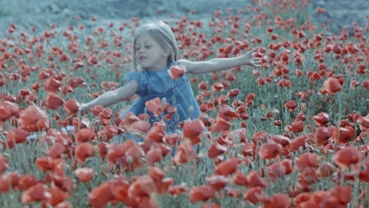 ‎Colourful Dreams (1975) directed by Virve Aruoja, Jaan Tooming ...