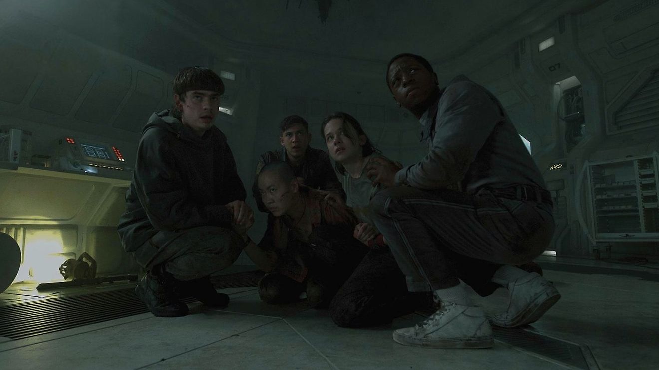 Letterboxd Best in Show for 18 December 2024