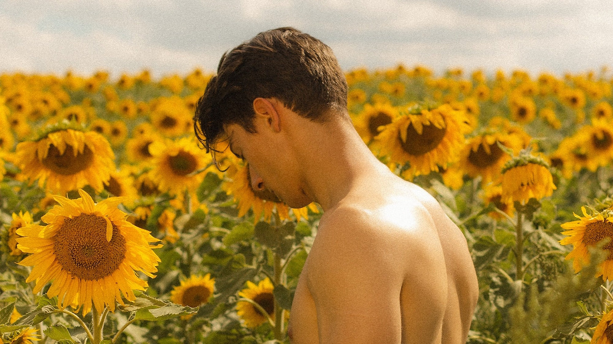 ‎Sunflower (2023) directed by Gabriel Carrubba • Reviews, film + cast • Letterboxd