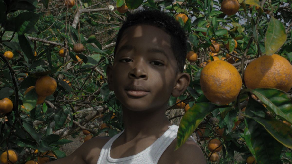‎Burning Cane (2019) directed by Phillip Michael Youmans • Reviews ...