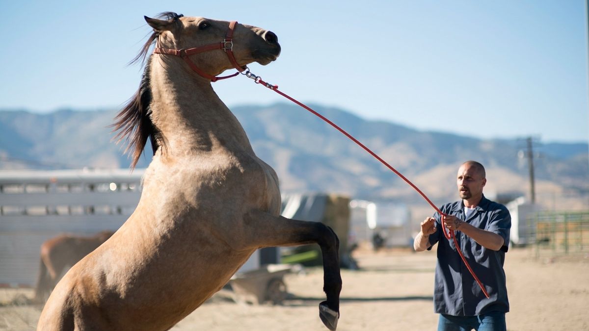 ‎The Mustang (2019) directed by Laure de Clermont-Tonnerre • Reviews ...