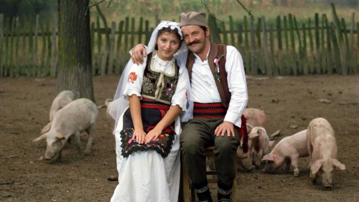 ‎Petria's Wreath (1980) directed by Srđan Karanović • Reviews, film ...