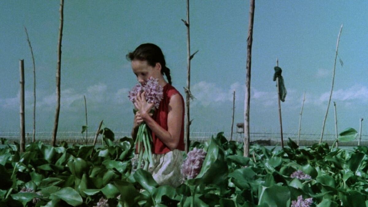 ‎Nunal sa Tubig (1976) directed by Ishmael Bernal • Reviews, film ...