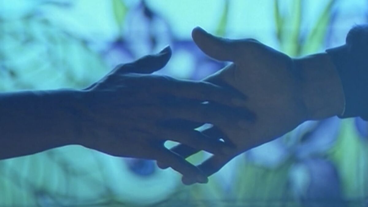 ‎A Journey Through Contemplative & Avant-Garde Cinema, a list of films ...