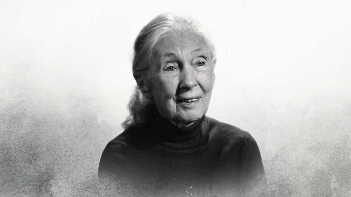 Famous Last Words: Dr. Jane Goodall’ review by Jack Moulton • Letterboxd