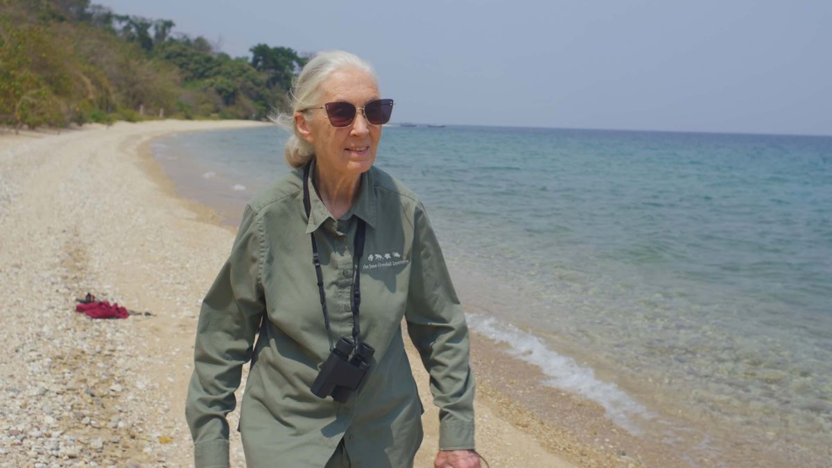 ‎Jane Goodall: The Hope (2020) directed by Kim Woodard, Elizabeth ...