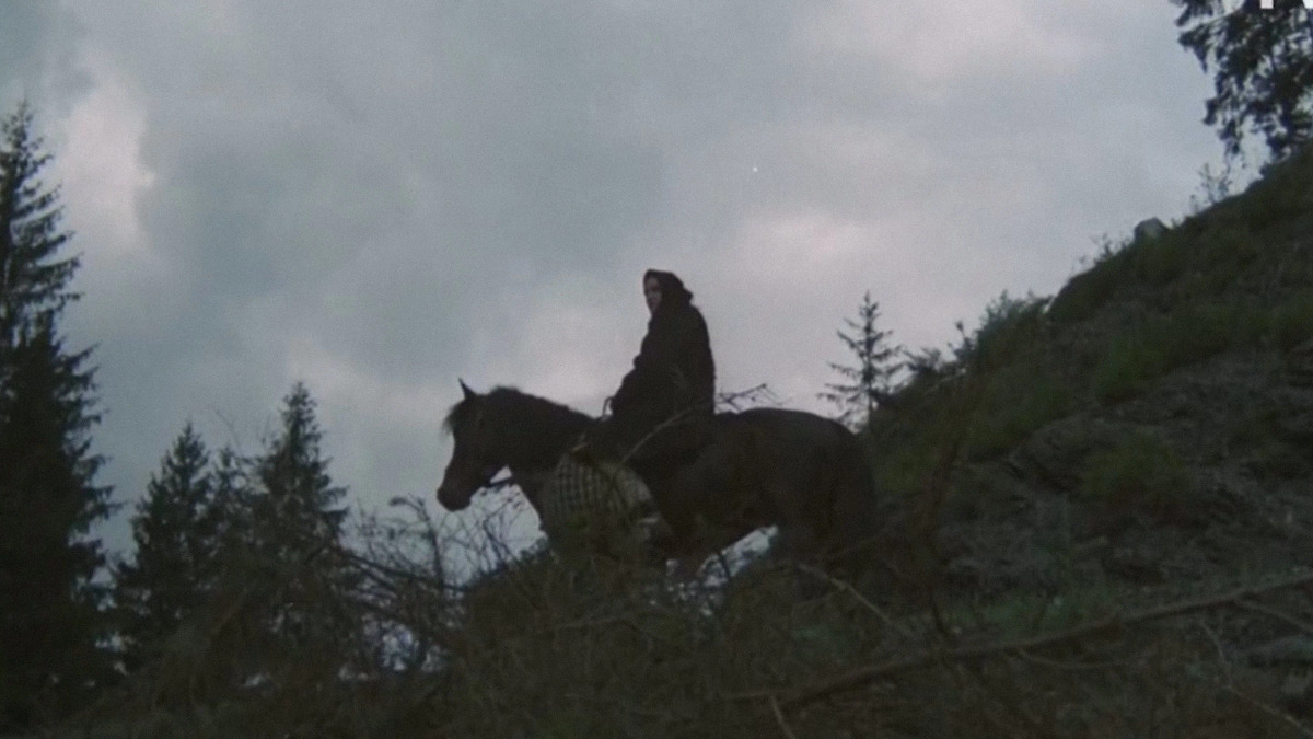 ‎The Axe (1969) directed by Mircea Mureșan • Reviews, film + cast ...