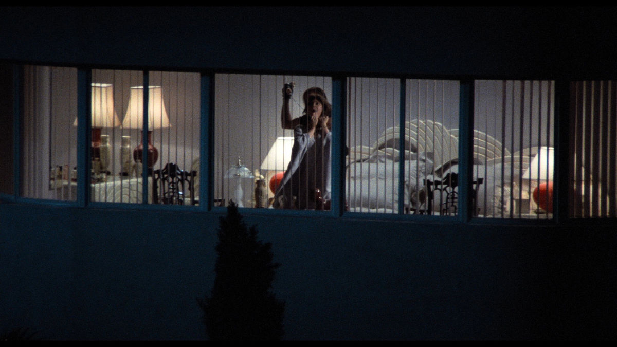 ‎Body Double (1984) directed by Brian De Palma • Reviews, film + cast ...