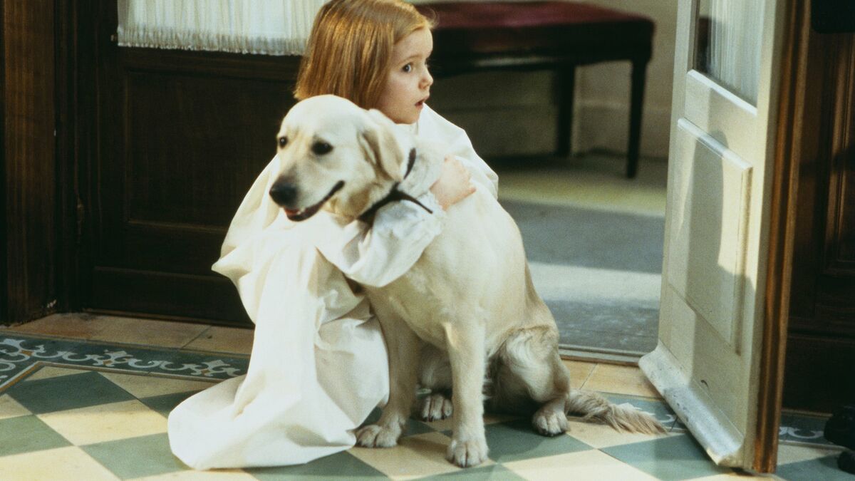 ‎Madeline (1998) directed by Daisy von Scherler Mayer • Reviews, film ...