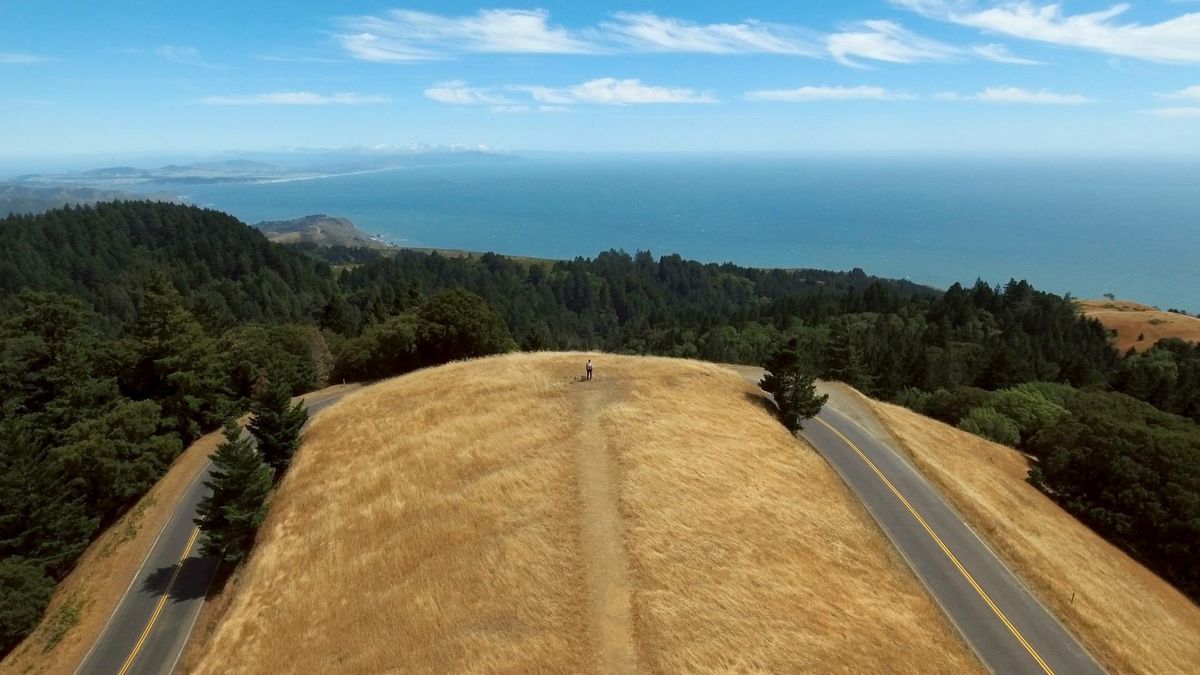 ‎General Magic (2018) directed by Sarah Kerruish, Matt Maude • Reviews ...