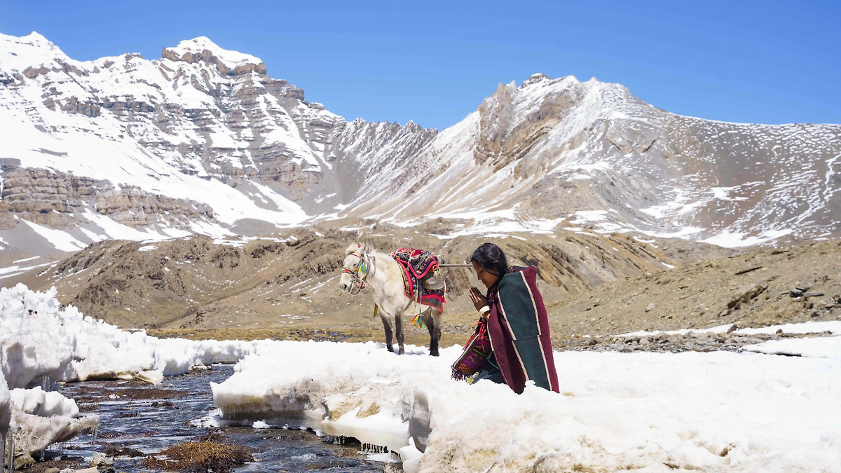 Shambhala’ review by Dish • Letterboxd