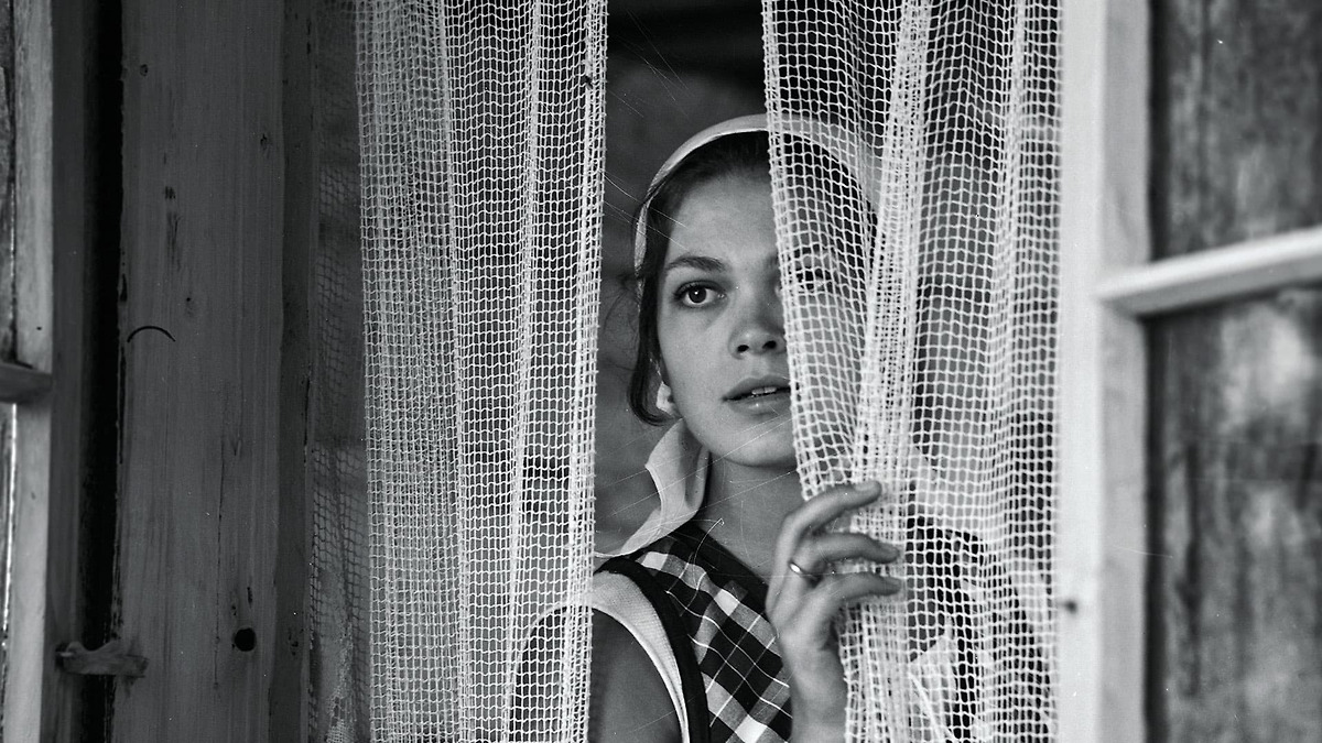 ‎Spring in the Forest (1974) directed by Leida Laius • Reviews, film ...