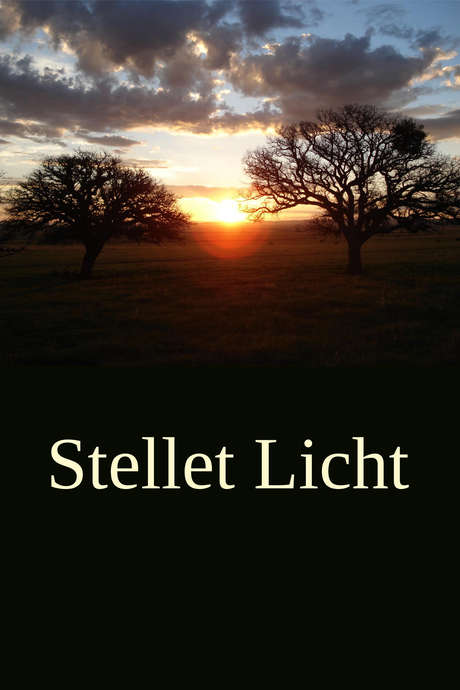 ‎Silent Light (2007) directed by Carlos Reygadas • Reviews, film + cast ...