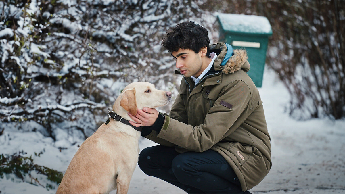 ‎Tore (2023) directed by Erika Calmeyer • Reviews, film + cast • Letterboxd