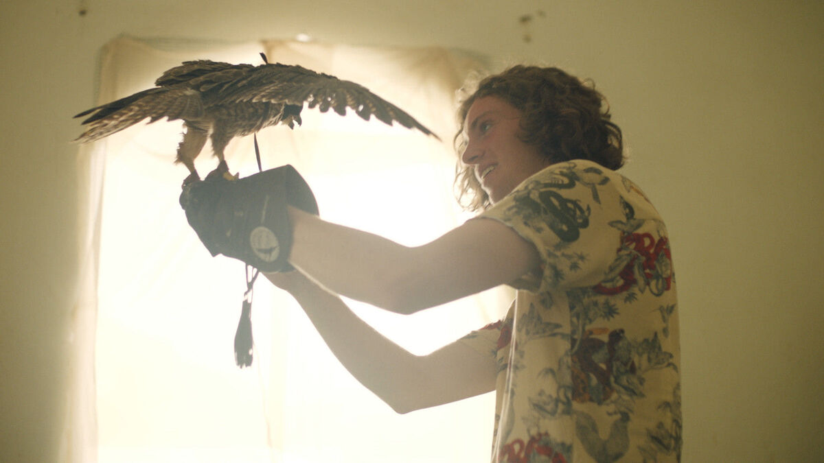 ‎The Falconer (2021) directed by Adam Sjöberg, Seanne Winslow • Reviews ...