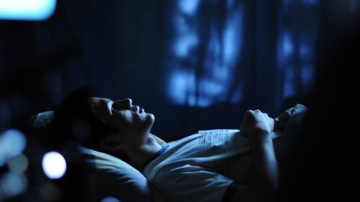 ‎Mundane History (2009) directed by Anocha Suwichakornpong • Reviews ...