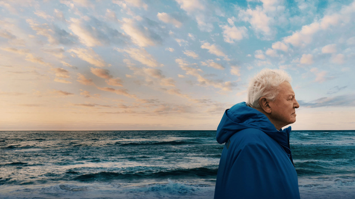 Ocean with David Attenborough’ review by teach_arthvr • Letterboxd