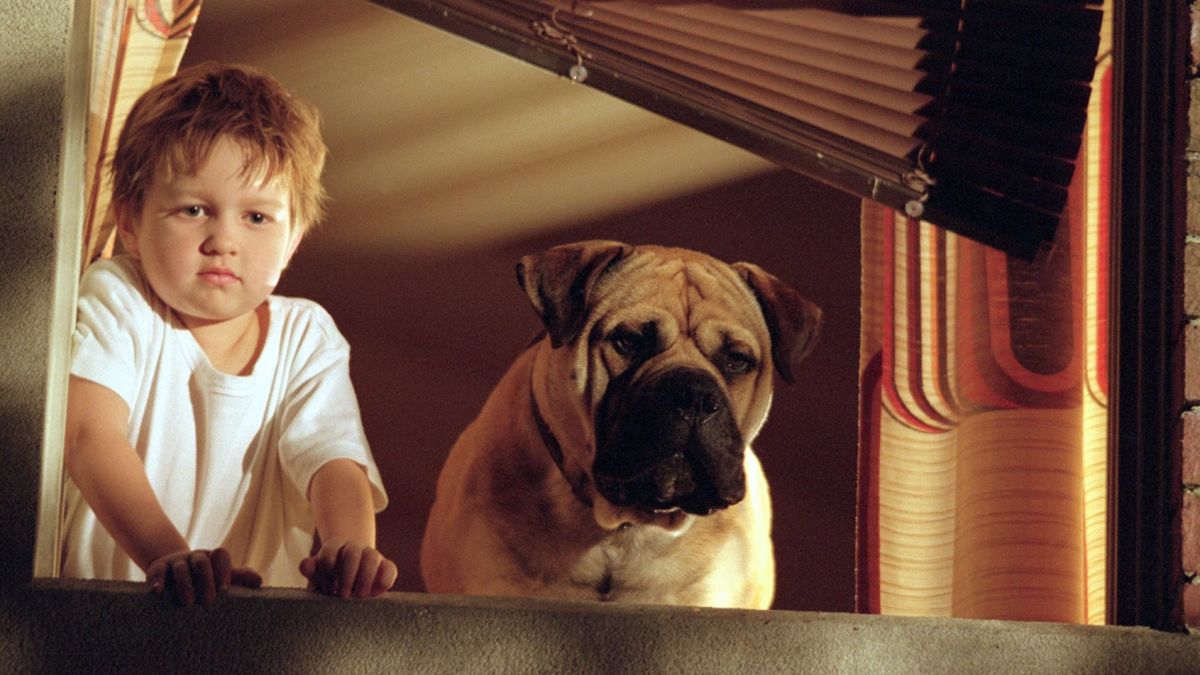 ‎See Spot Run (2001) directed by John Whitesell • Reviews, film + cast ...