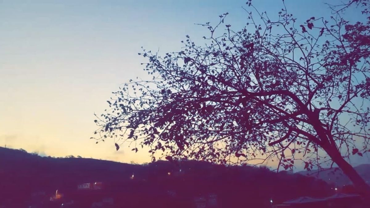 ‎Arcus (2020) directed by Sam Ribeiro Cavalcanti • Film + cast • Letterboxd