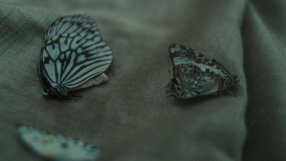 ‎Kerberos (2024) directed by Hazel Dupont • Reviews, film + cast • Letterboxd