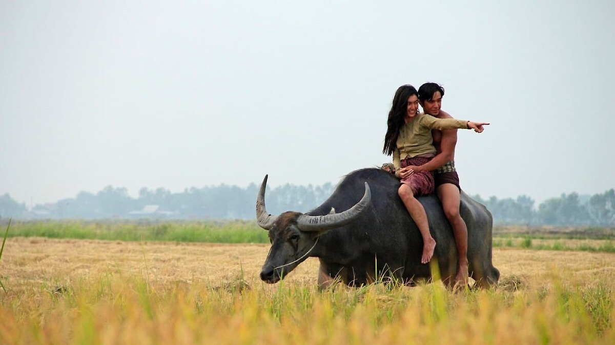 ‎The Scar (2014) directed by Pundhevanop Dhewakul • Reviews, film + cast • Letterboxd