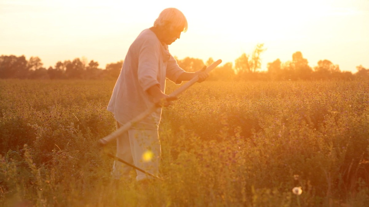 ‎Ivan's Land (2021) directed by Andrii Lysetskyi • Reviews, film + cast ...