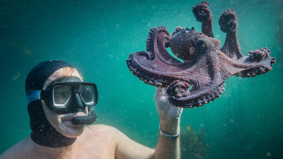 ‎10 Best Educational Documentaries on Netflix, a story by High On Films • Letterboxd