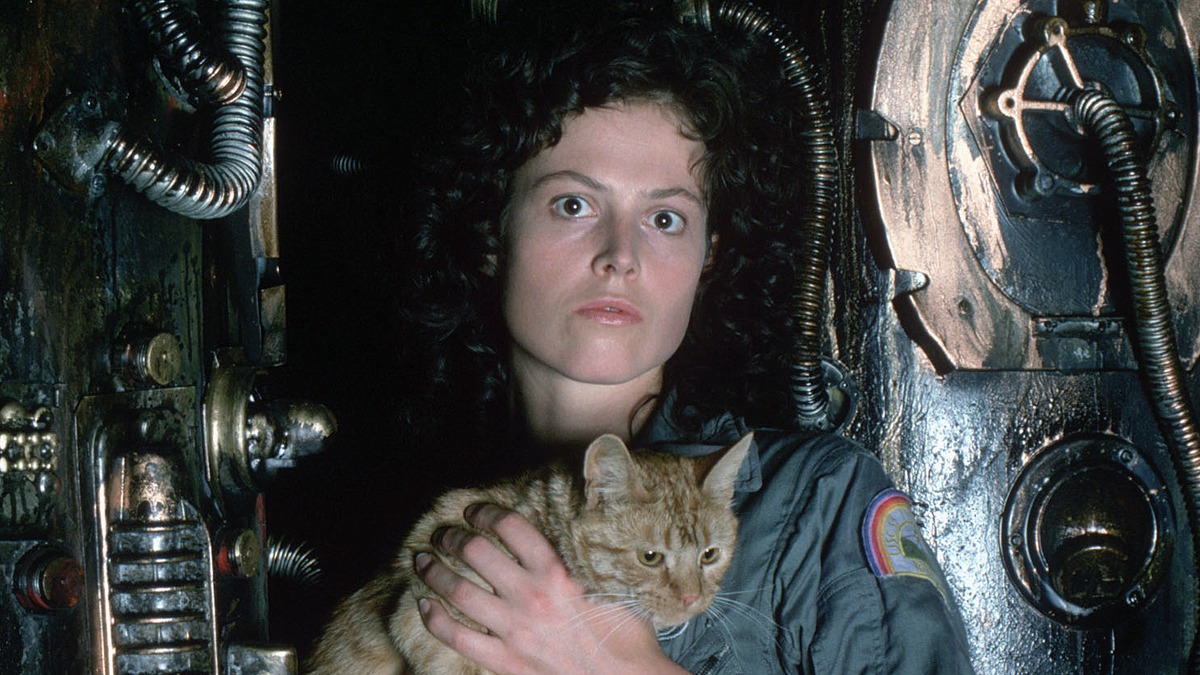 ‎All Alien Movies Ranked, From Worst to Best, a story by High On Films ...