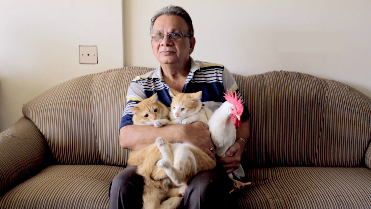 ‎10 Delightful Indian Documentaries of the 2010s, a story by High On ...