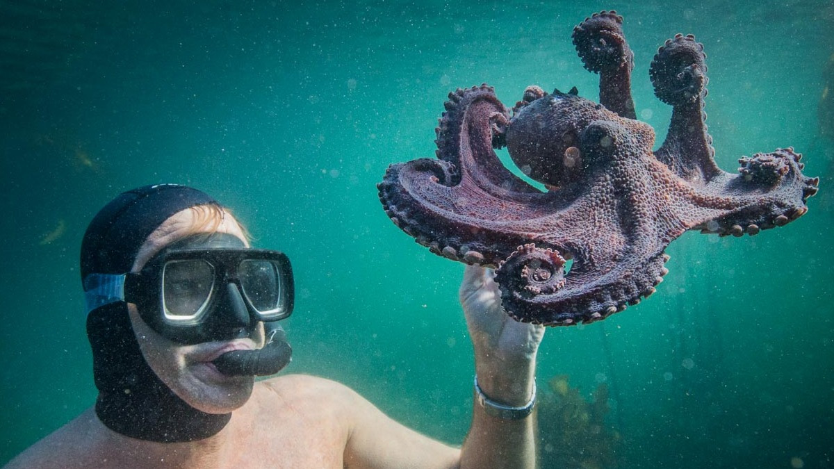 ‎10 Best Educational Documentaries on Netflix, a story by High On Films ...