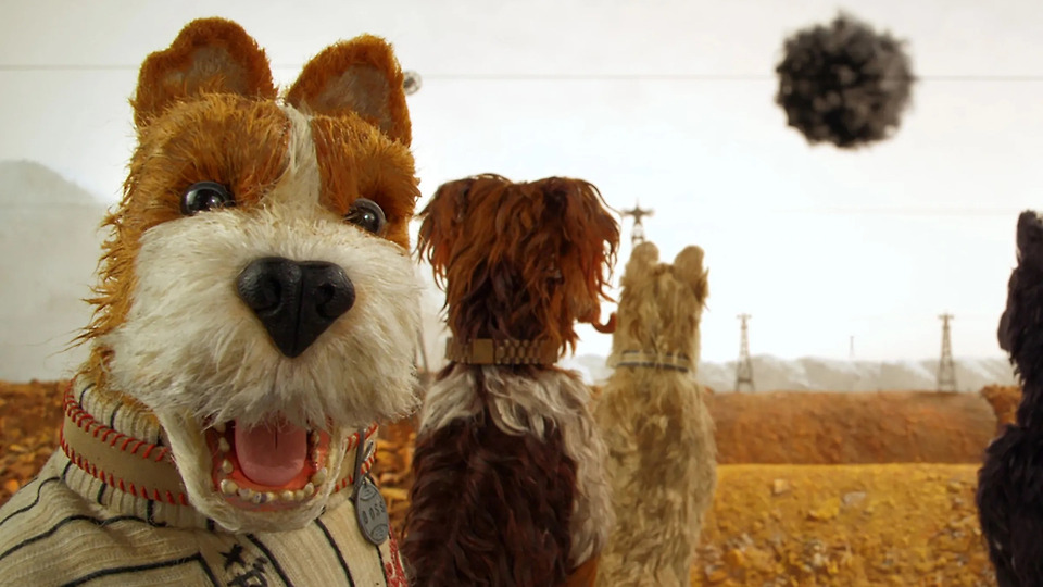 ‎The 25 Best Dog Movies of all Time, a story by High On Films • Letterboxd