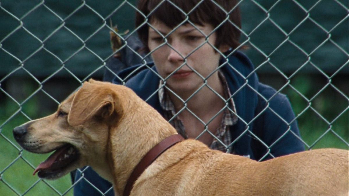 ‎10 Must-See Unconventional Dog Movies, a story by High On Films ...