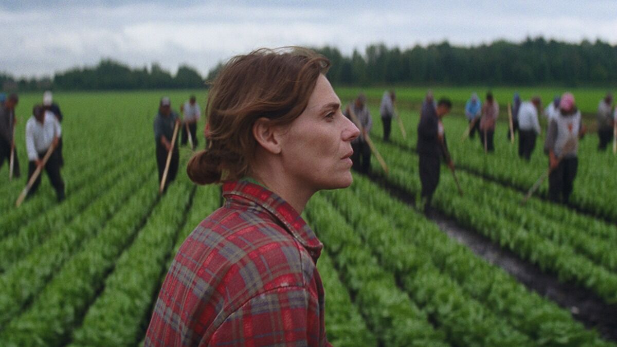 ‎TIFF Platform 2021: Drunken Birds Flies High, a story by ThatShelf.com ...