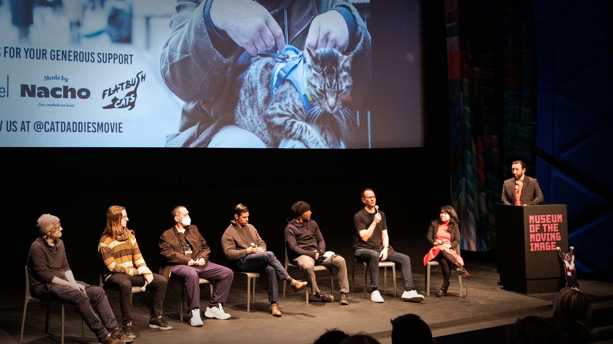 ‎My First Movie: Doc ‘Cat Daddies’ Taps Into Community Screenings for ...