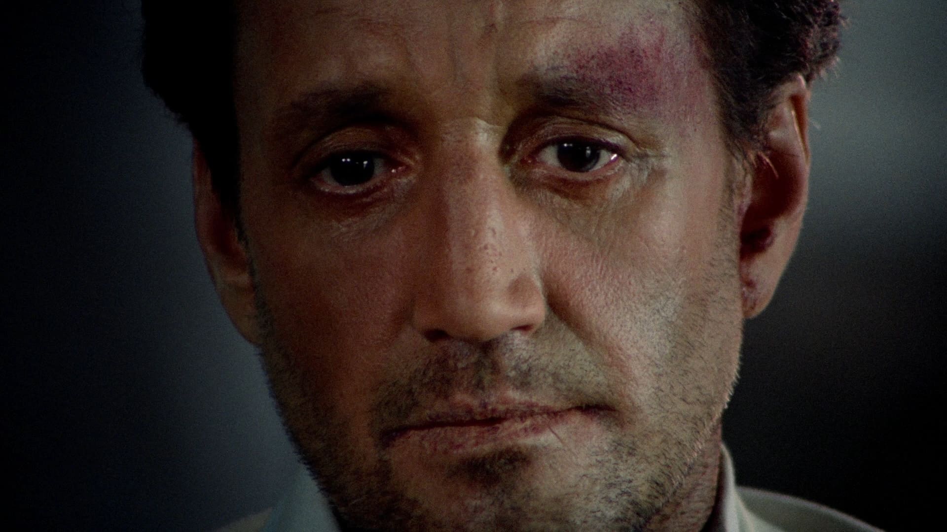 ‎Friedkin Forever: the Letterboxd community’s favorite films from the ...