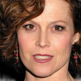 ‎2016 Year in Review • Letterboxd