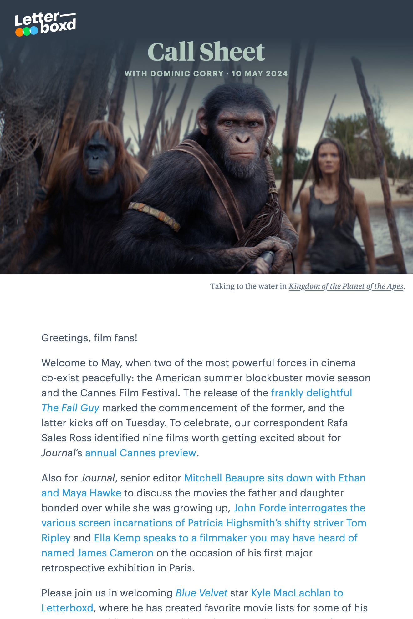 ‎The Shimmering Screen: Jane Schoenbrun’s transient aesthetic • Journal ...