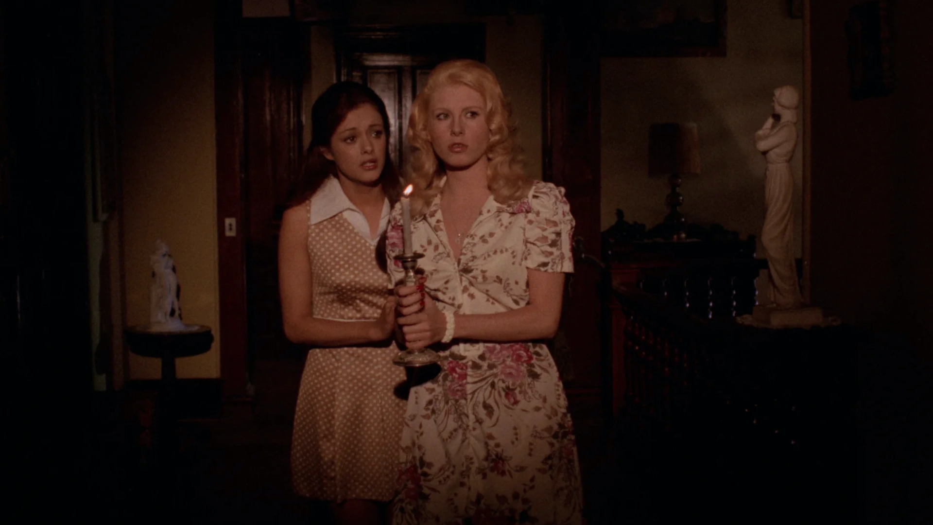 ‎Himbos, Haunts and Hooper: on shelves and screens this month • Journal ...